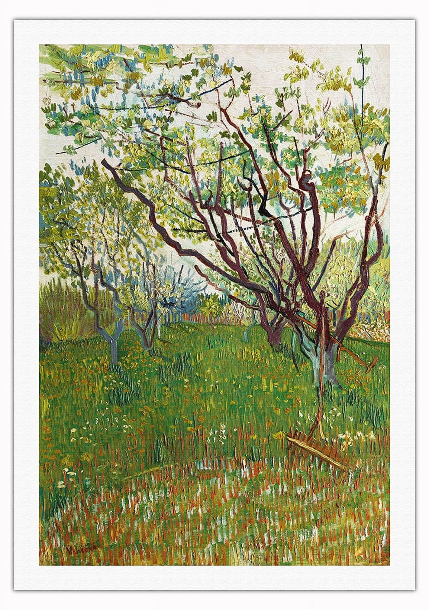 The Flowering Orchard - Arles France - From an Original Color Painting ...