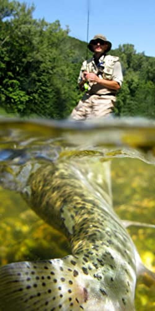 The Fly Fishing Place Olive Deer Hair Bass Bugs - Fly Fishing Popper ...