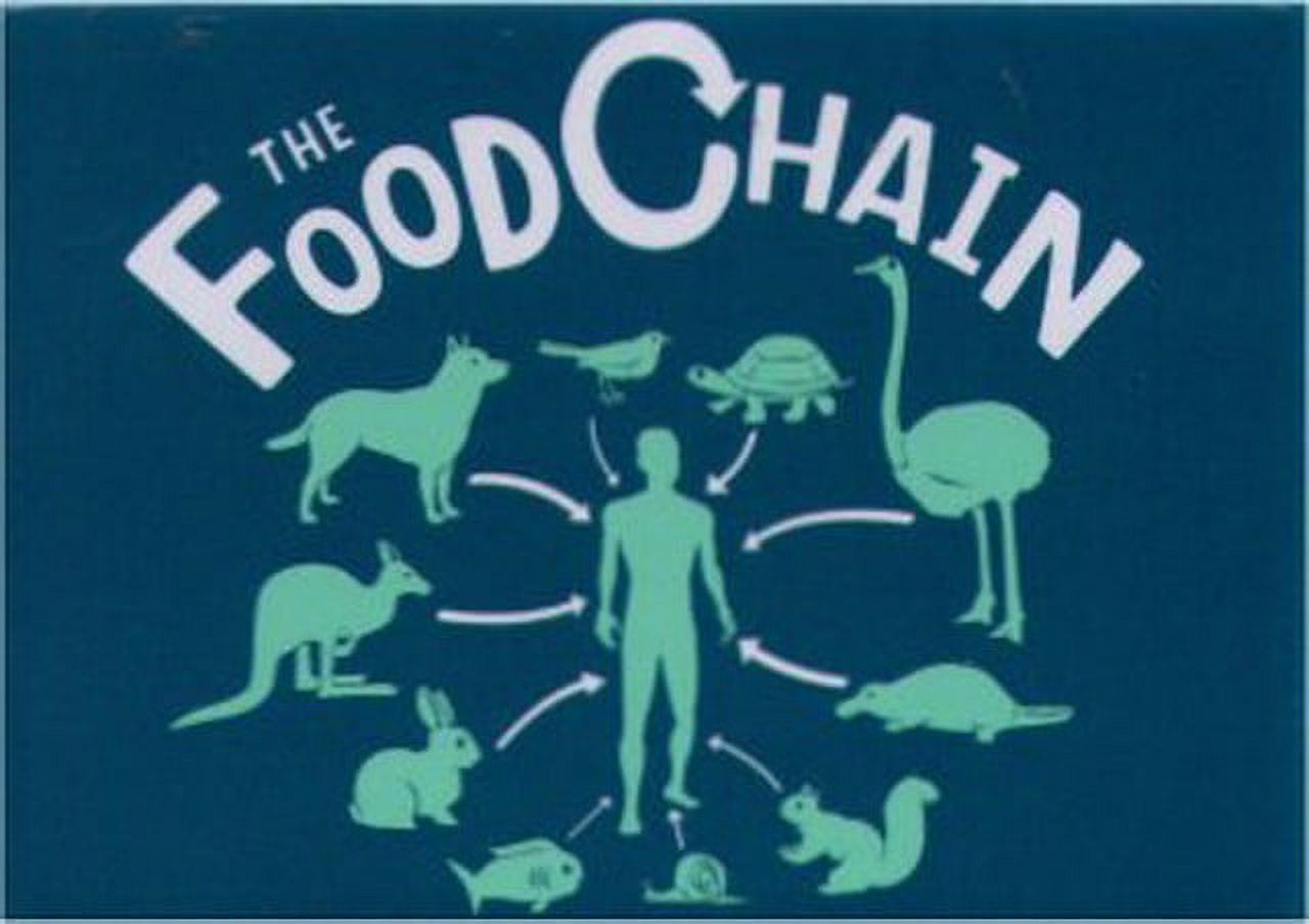 The Food Chain Magnet SM4084 - Walmart.com