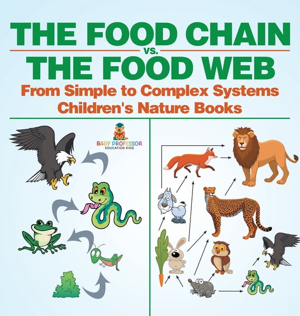 The Food Chain vs. The Food Web - From Simple to Complex Systems ...