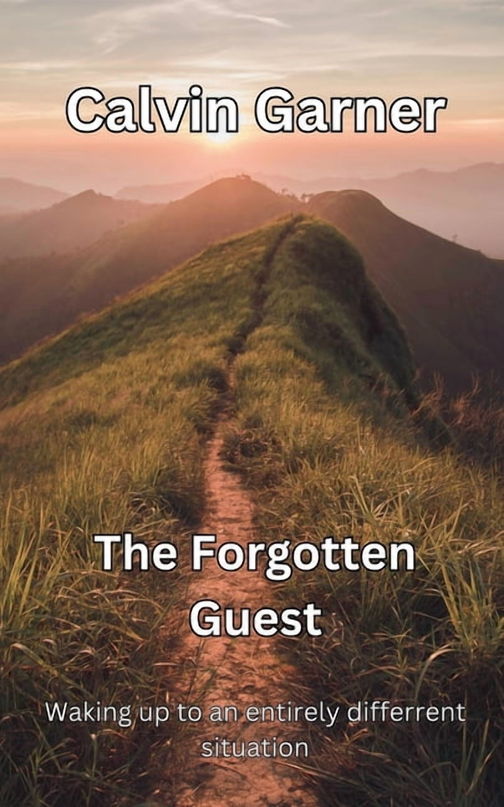 The Forgotten Guest, (Paperback) - Walmart.com