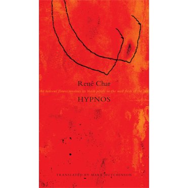 Jean-Michel Basquiat : Of Symbols and Signs (Hardcover) - Walmart.com