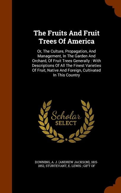 The Fruits and Fruit Trees of America (Hardcover) - Walmart.com