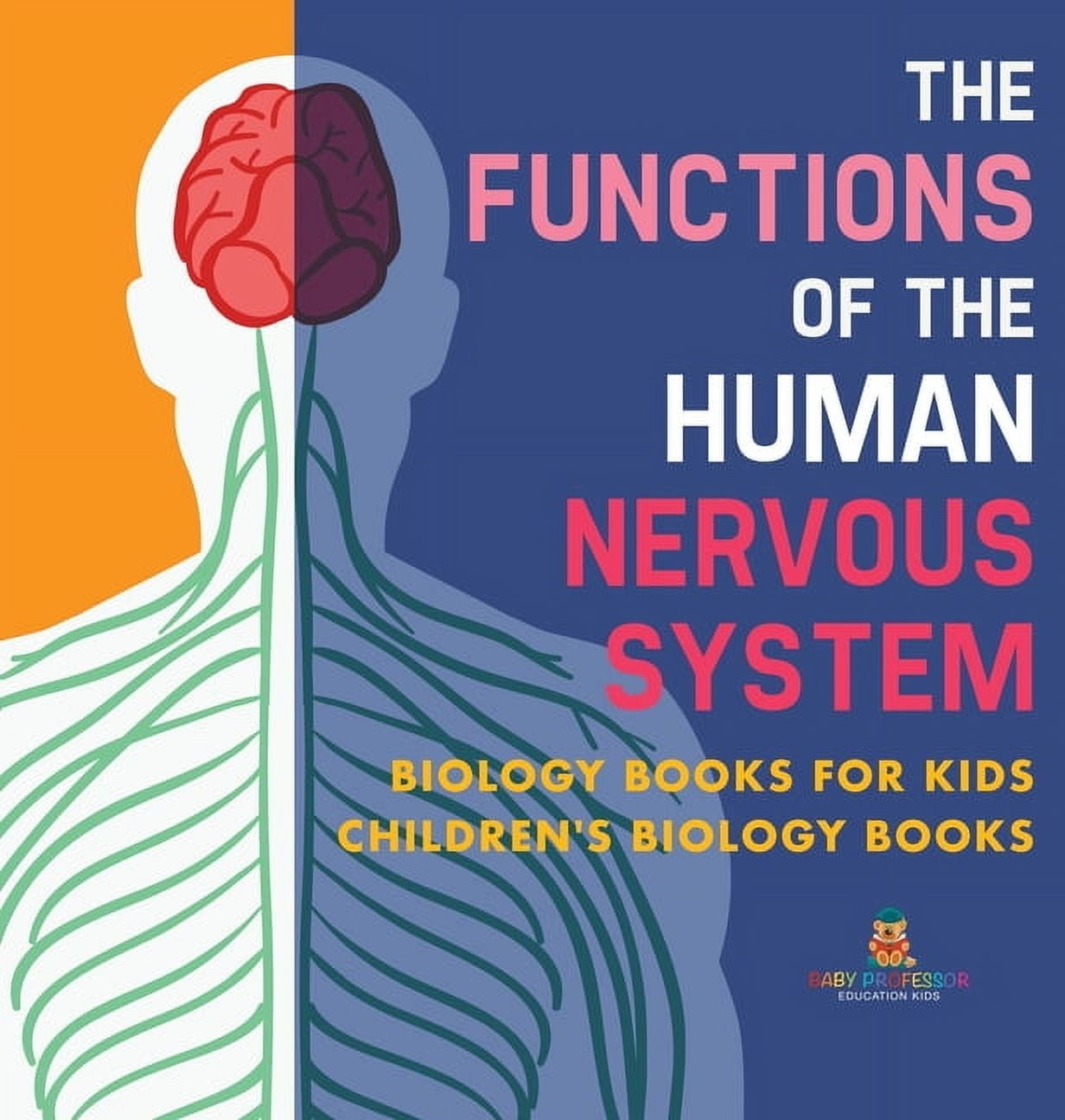 The Functions of the Human Nervous System - Biology Books for Kids ...
