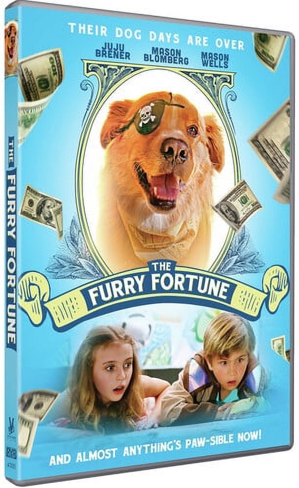 The Furry Fortune (DVD), Vision Films, Kids & Family - Walmart.com