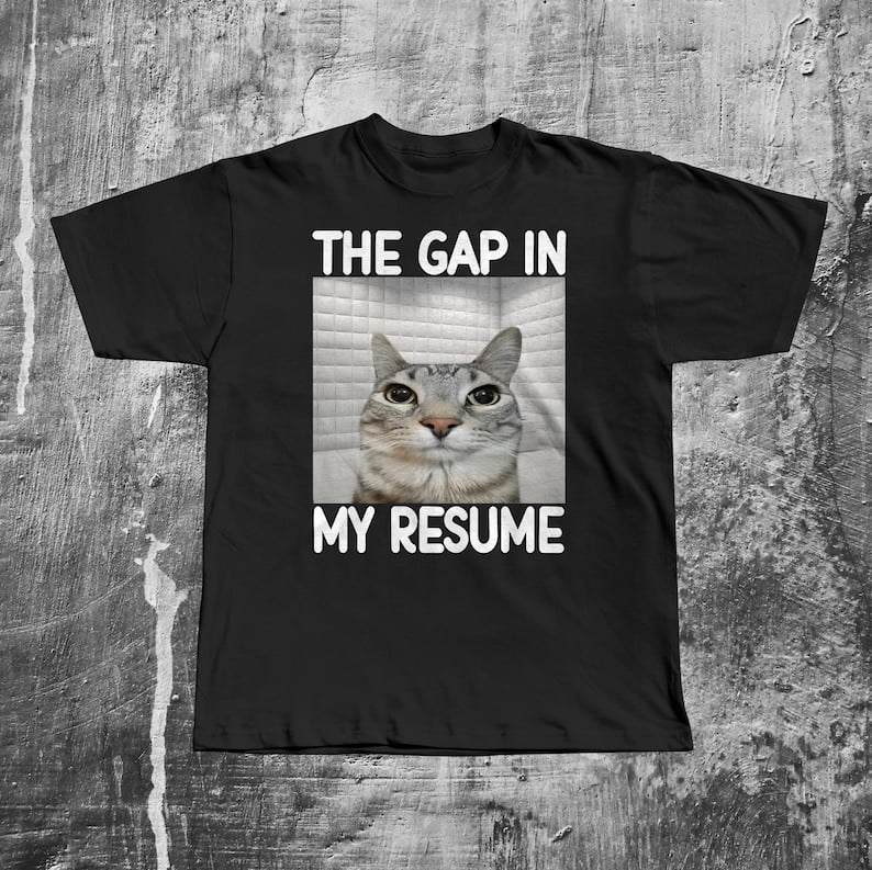 The Gap In My Resume Funny Dank Meme T-shirt, Cat Lover Gifts, Unhinged ...