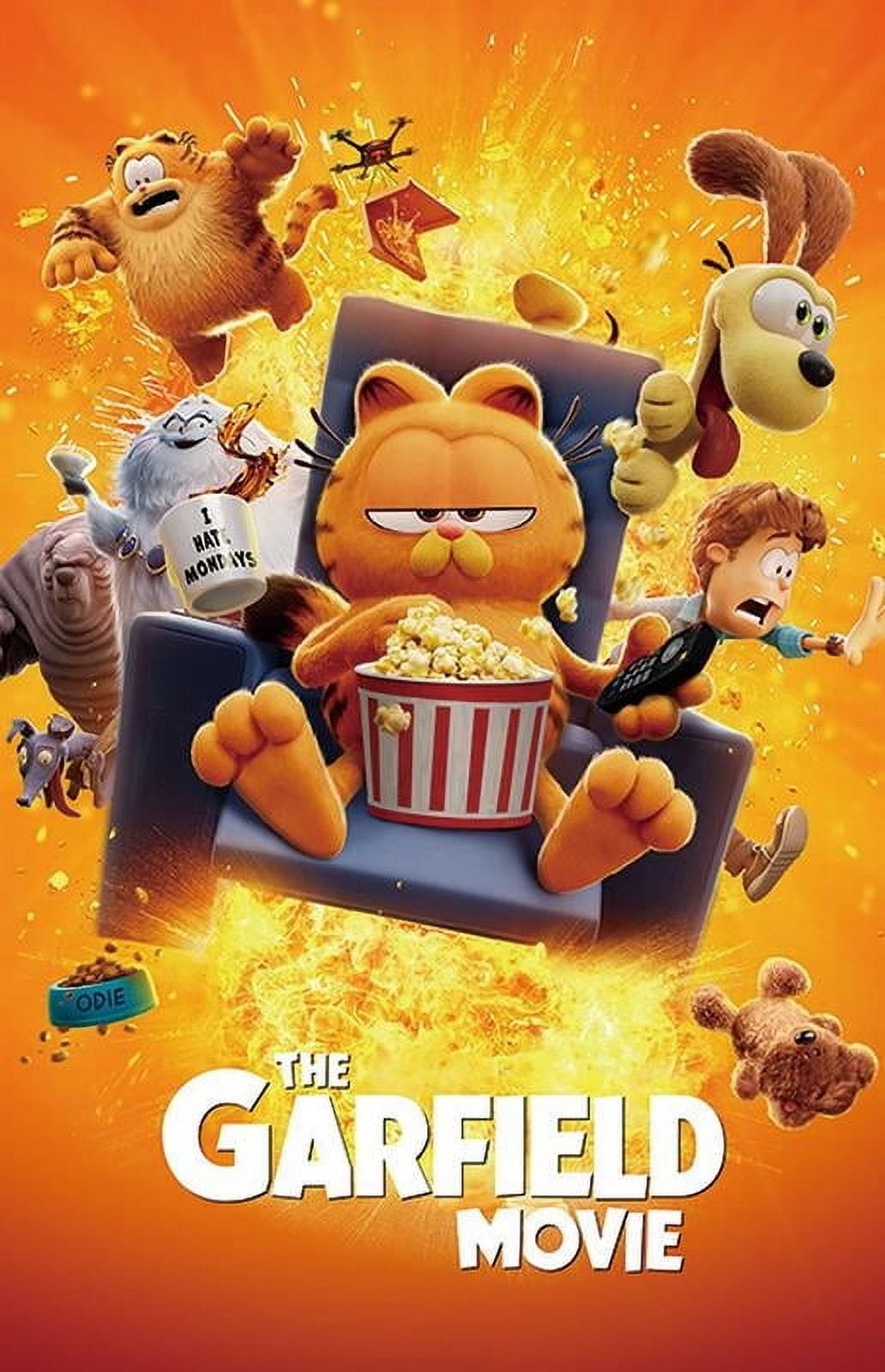 The Garfield Movie movie Posters for room aesthetic For Bedroom ...