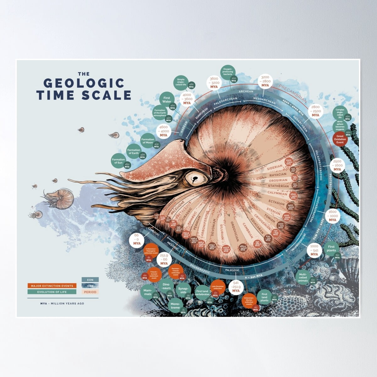 The Geological Time Scale Poster Wall Art, Modern Wall Decor For Living ...