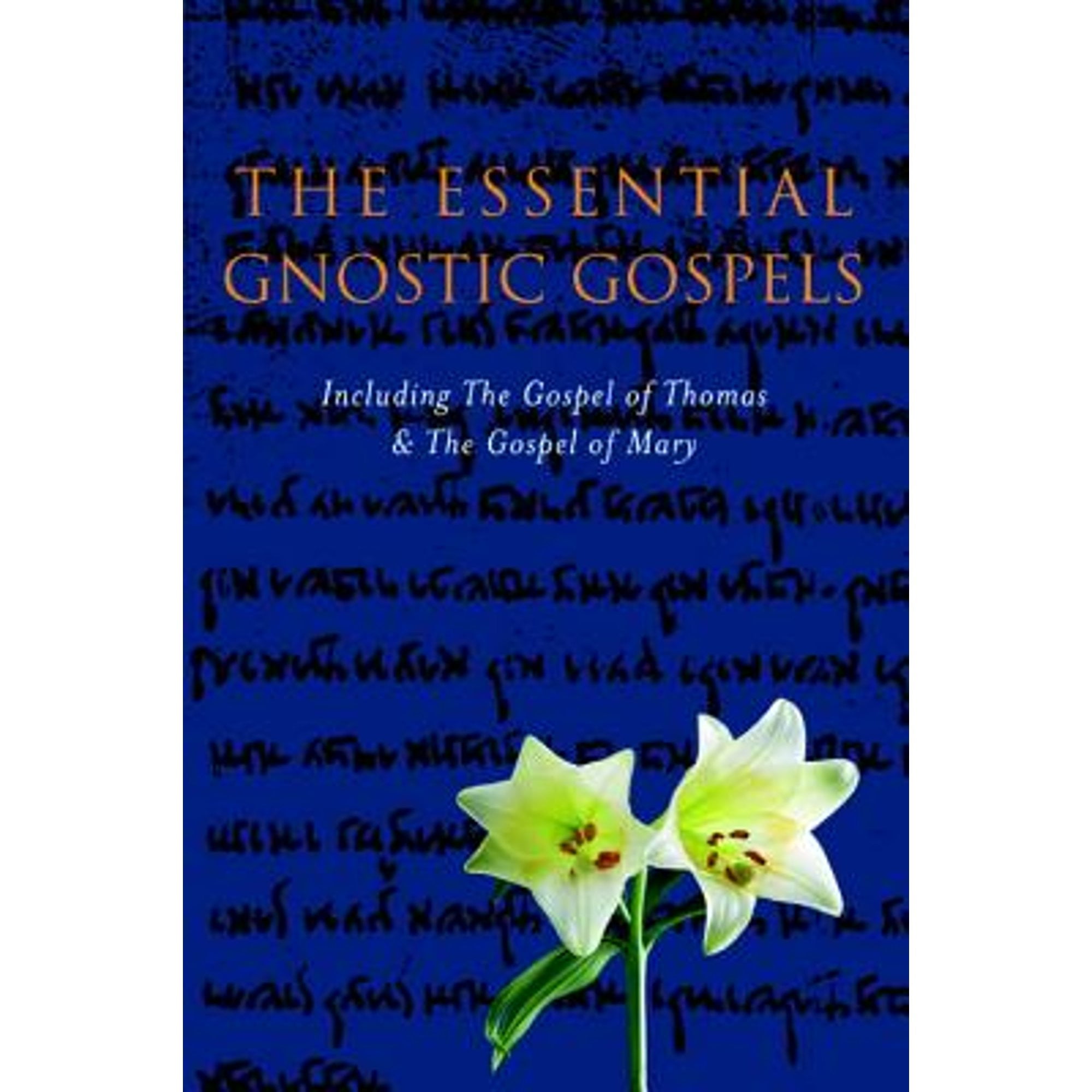 Pre-Owned The Gnostic Gospels: Including the Gospel of Thomas the Gospel of Mary Magdalene ...