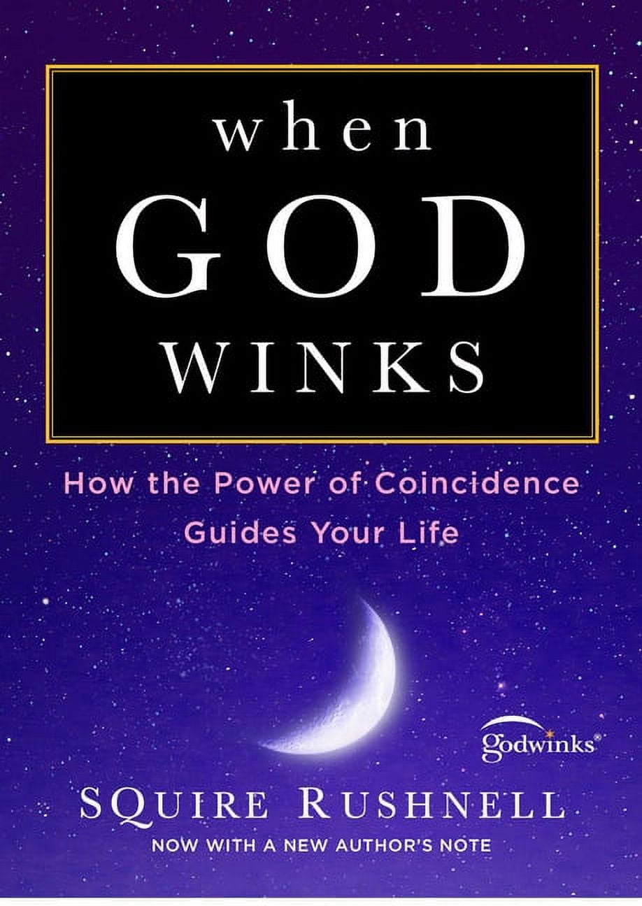 Godwink When God Winks: How the Power of Coincidence Guides Your Life ...