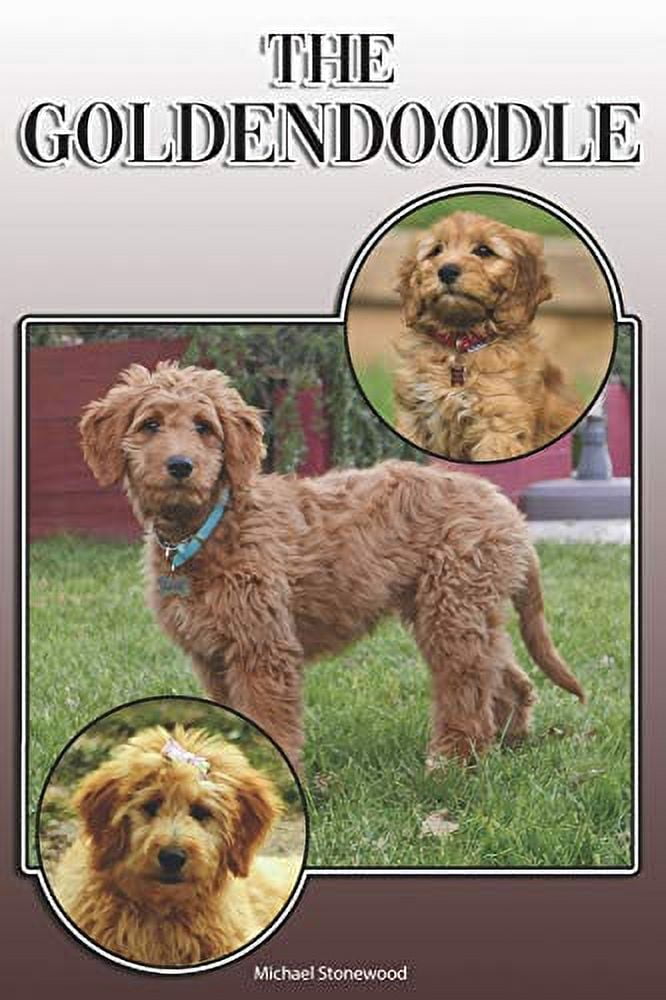 Pre-Owned The Goldendoodle: A Complete and Comprehensive Owners Guide ...