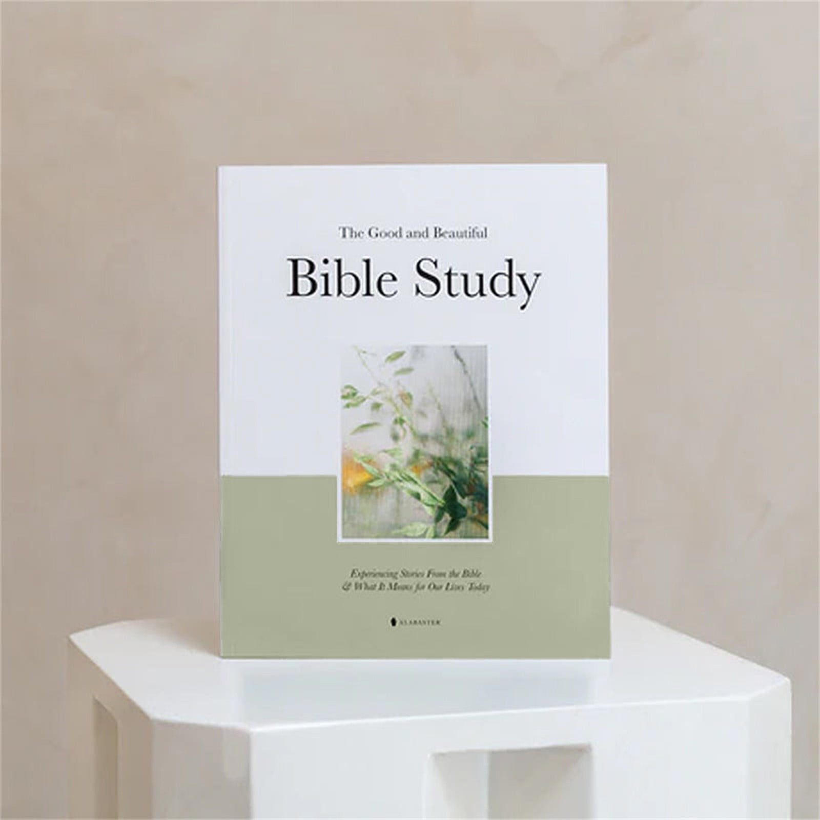 The Good and Beautiful Bible Study: Dive Into Bible Stories & Their ...