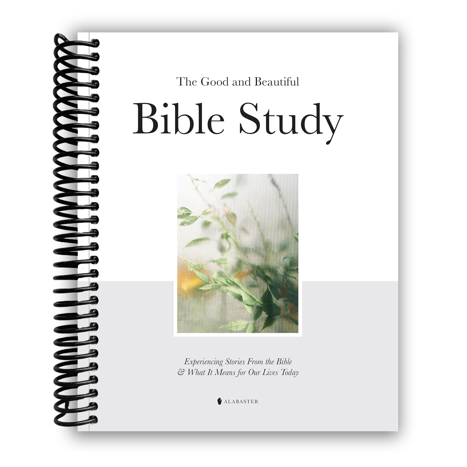 Scripture Notes Bible Study Notebook-Rose (Hardcover) - Walmart.com