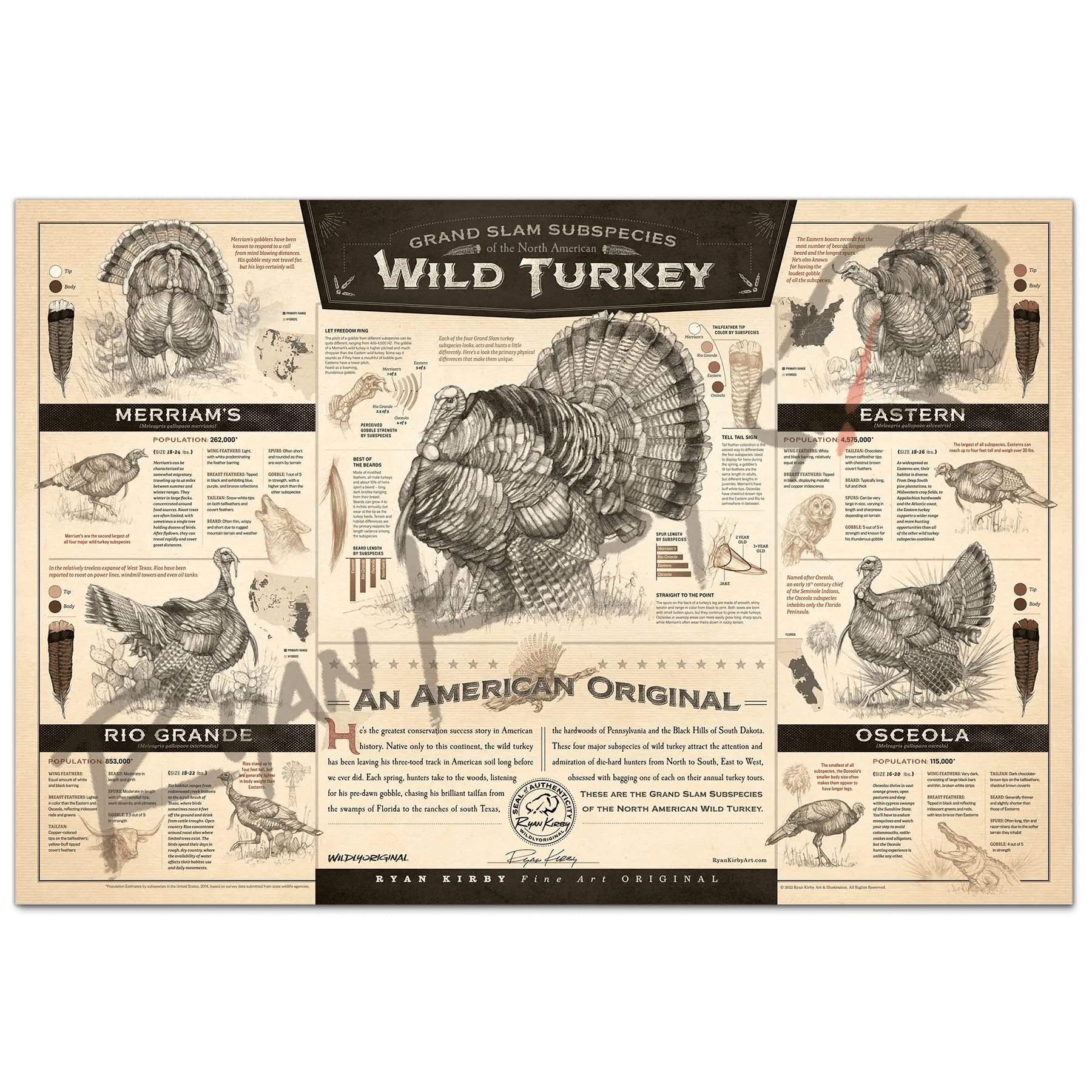 "The Grand Slam Subspecies of the North American Wild Turkey" Paper Art ...