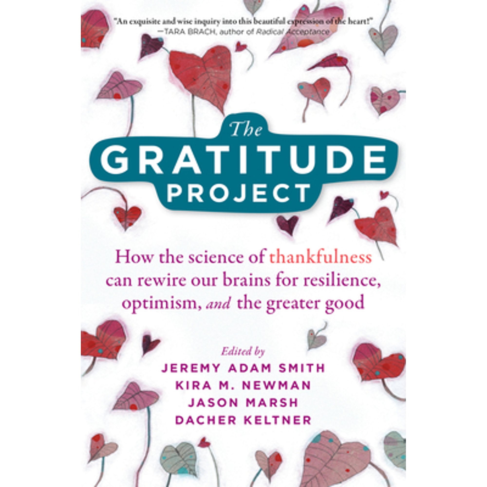 Pre-Owned The Gratitude Project : How Cultivating Thankfulness Can ...