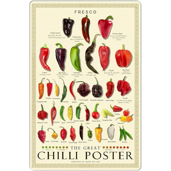 The Great Chilli Poster Fresco Pepper Species Spicy Metal Tin Signs ...