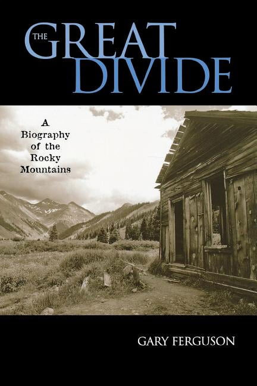 The Great Divide (Paperback) - Walmart.com