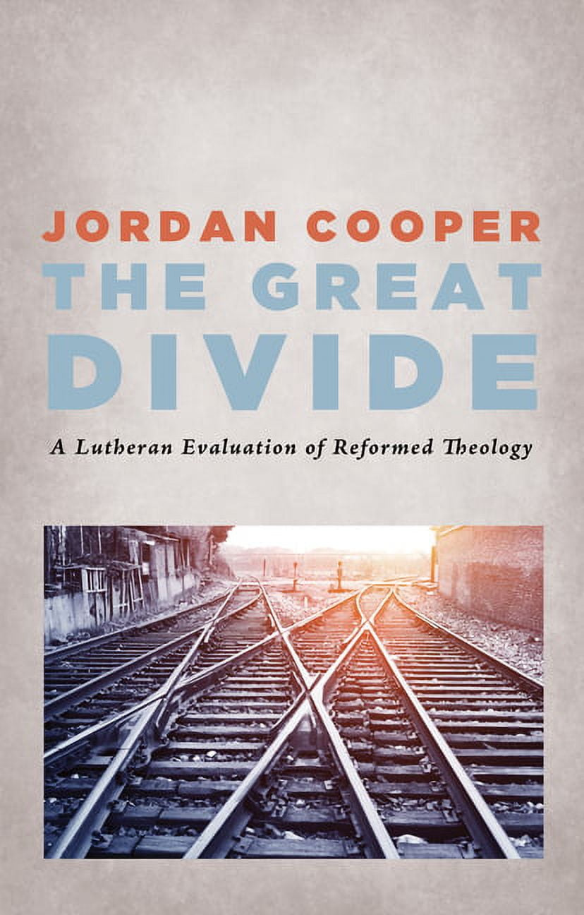 The Great Divide (Paperback) - Walmart.com