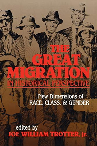 Pre-Owned The Great Migration in Historical Perspective: New Dimensions ...