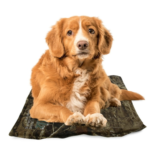 Green Pet Shop Self-Cooling Cold Dog Chillz Gel Mat, Realtree Green ...