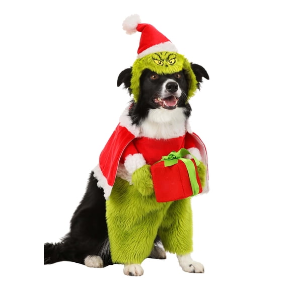 Max Grinch Dog Costume