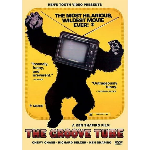 The Groove Tube (DVD) - Walmart.com