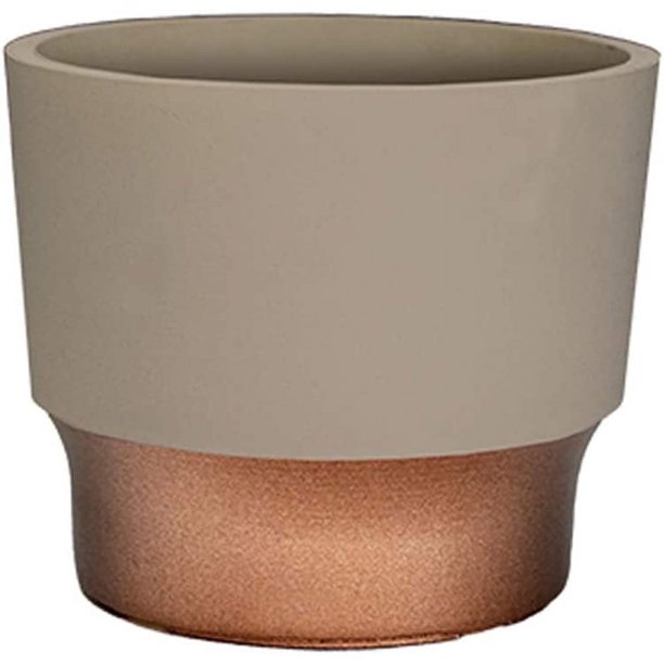 The HC Companies 3 Inch Sprite Succulent Pot - Small Plastic Planter ...