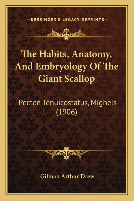 The Habits, Anatomy, And Embryology Of The Giant Scallop : Pecten ...