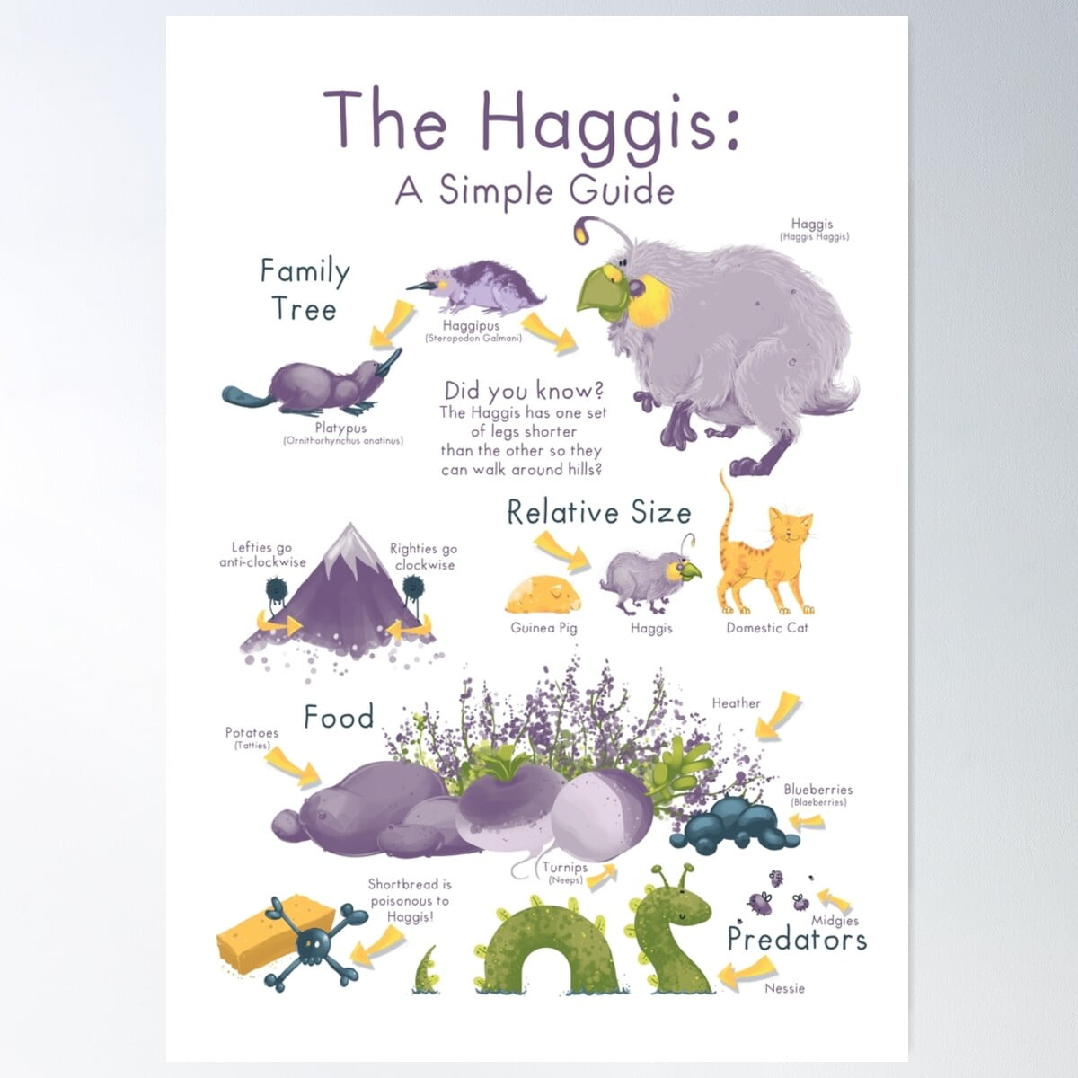 The Haggis: A Simple Guide Poster Wall Art, Modern Wall Decor For ...