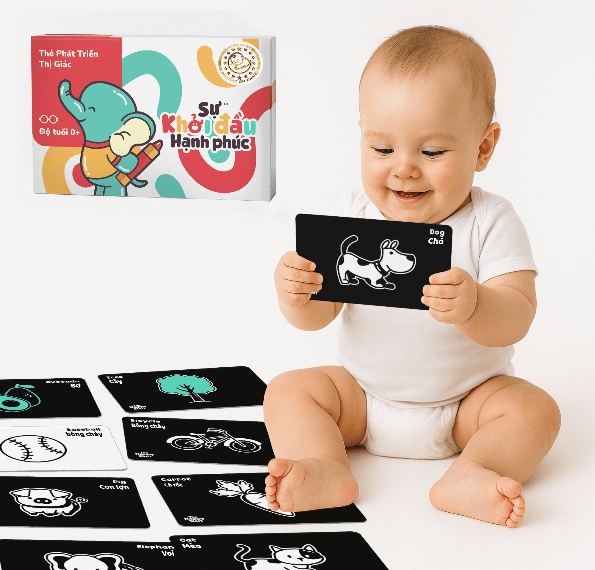 The Happy Start High Contrast Vision Flash Cards, 23 Count, 1 Pack ...