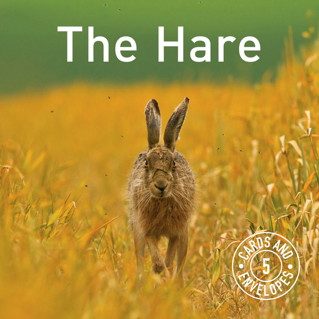 The Hare Card Pack : 5 Cards and Envelopes (Postcard book or pack ...