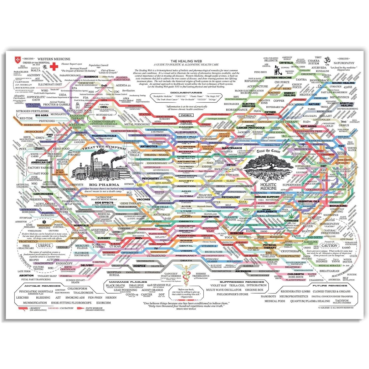 The Healing Web Poster - Natural Remedies Chart - Walmart.com