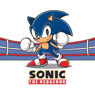 Design With Vinyl Super Sonic The Hedgehog Video Game Inspired Wall ...