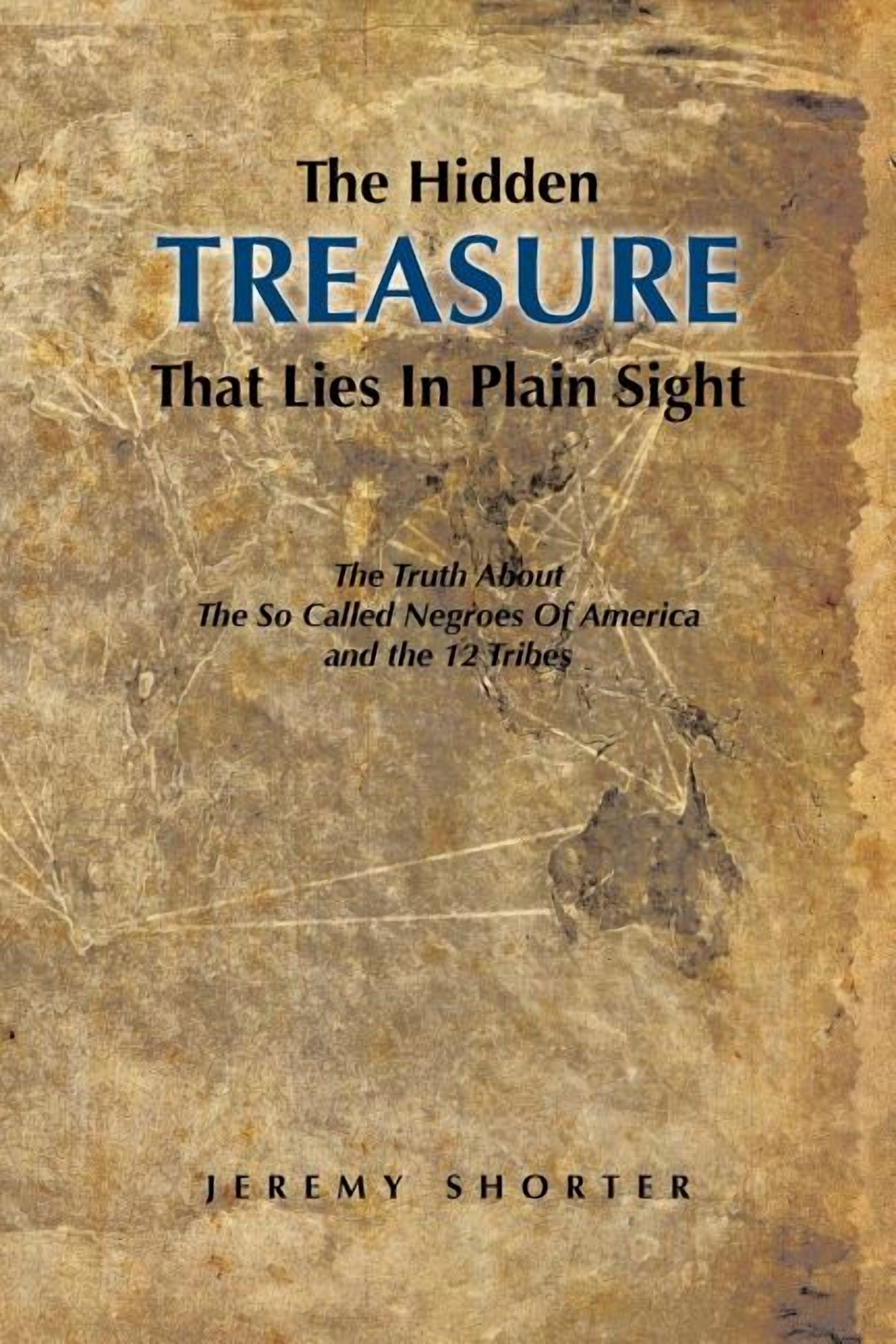 The Hidden Treasure That Lies in Plain Sight : The Truth about the So ...