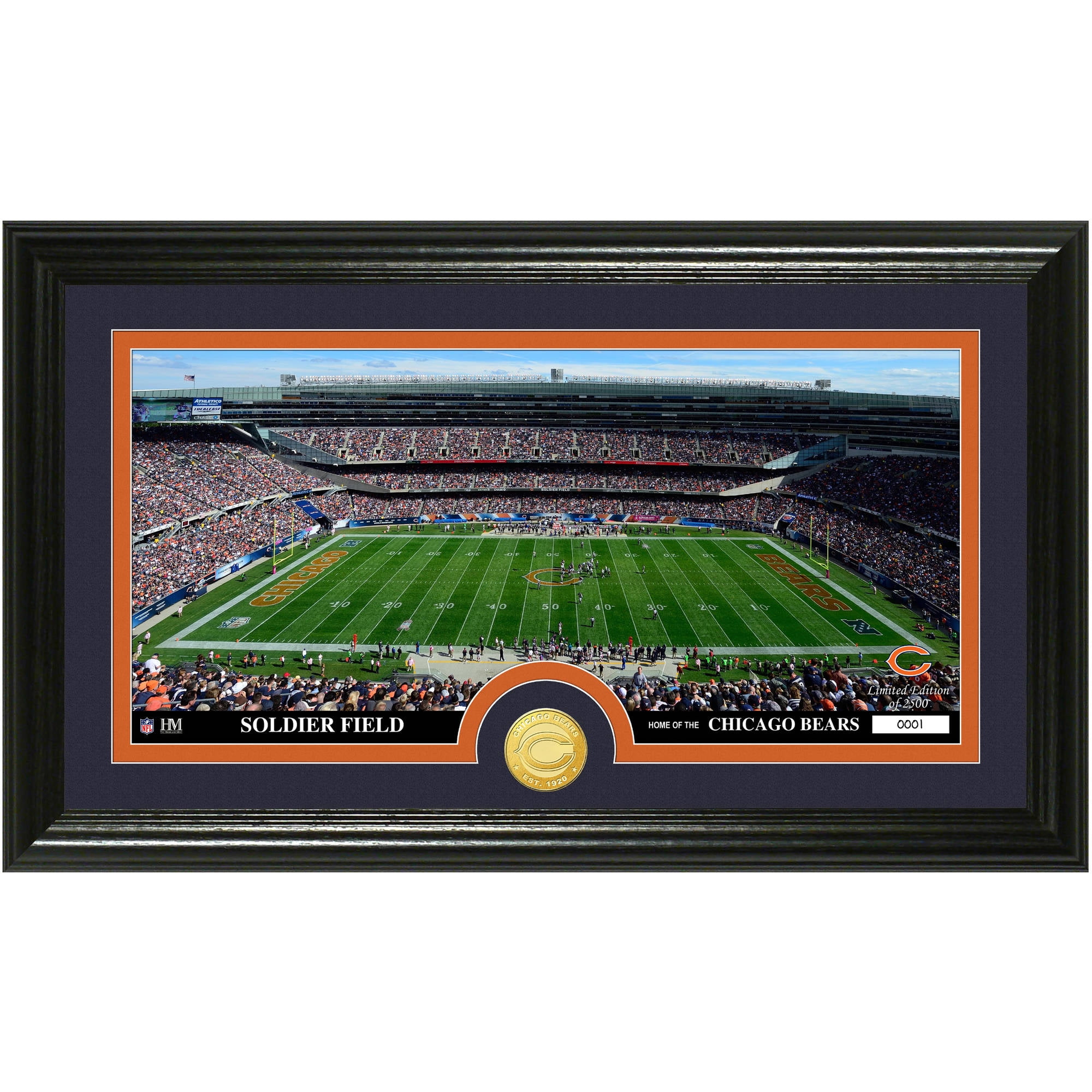 The Highland Mint NFL Stadium Bronze Coin Panoramic Photo Mint, Chicago ...