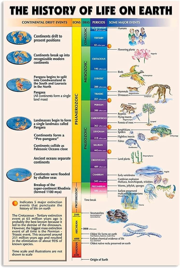 The History Of Life On Earth Metal Tin Signs Earth Knowledge Metal ...