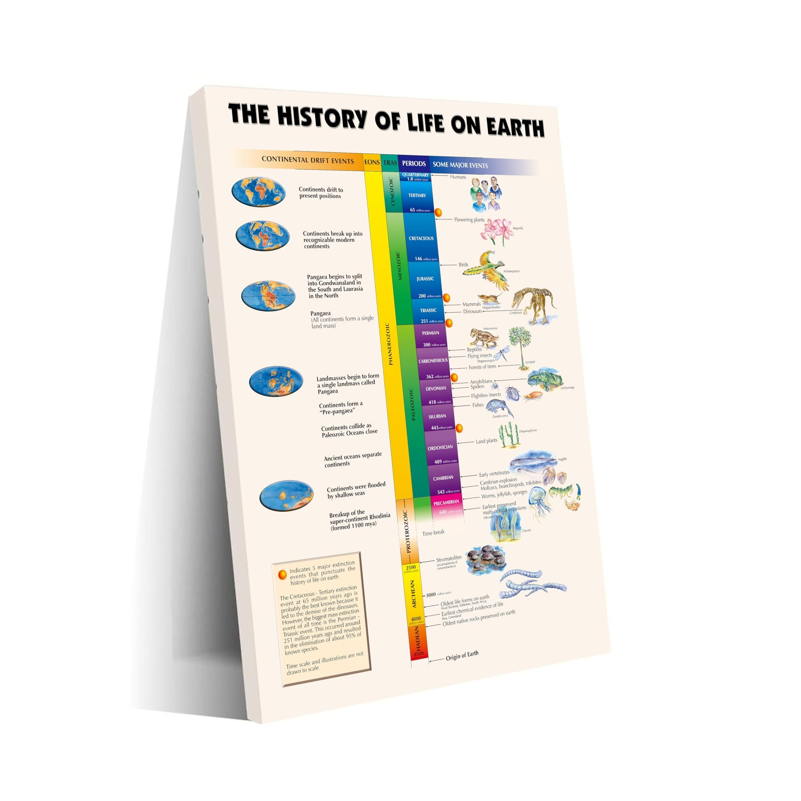 The History Of Life On Earth Poster SaiFfe Evolution History Canvas ...