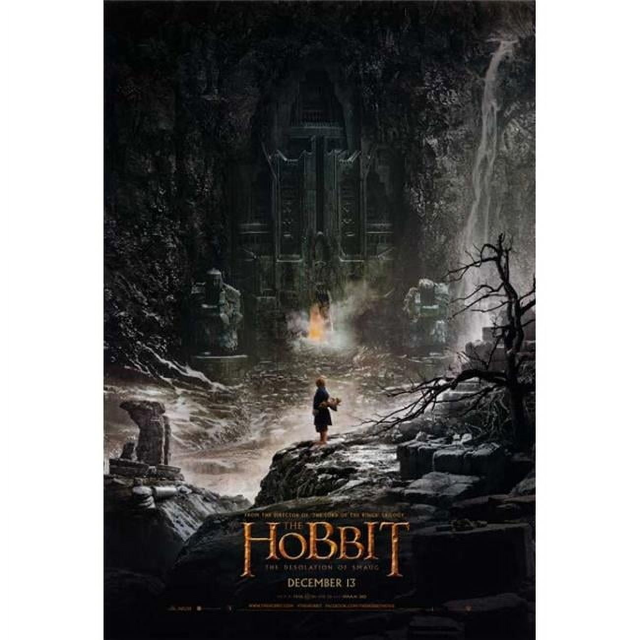 The Hobbit: The Desolation of Smaug Movie Poster Print (27 x 40 ...