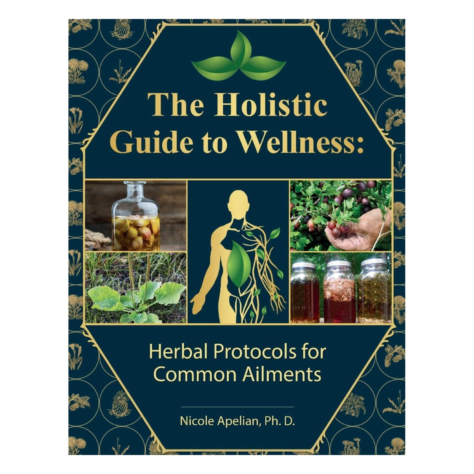 The Holistic Guide to Wellness : Herbal Protocols for Common Ailments ...
