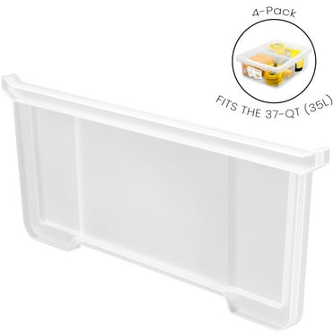 The Home Edit 70 Quart Clear Plastic Storage Bin with Divider, Adult ...