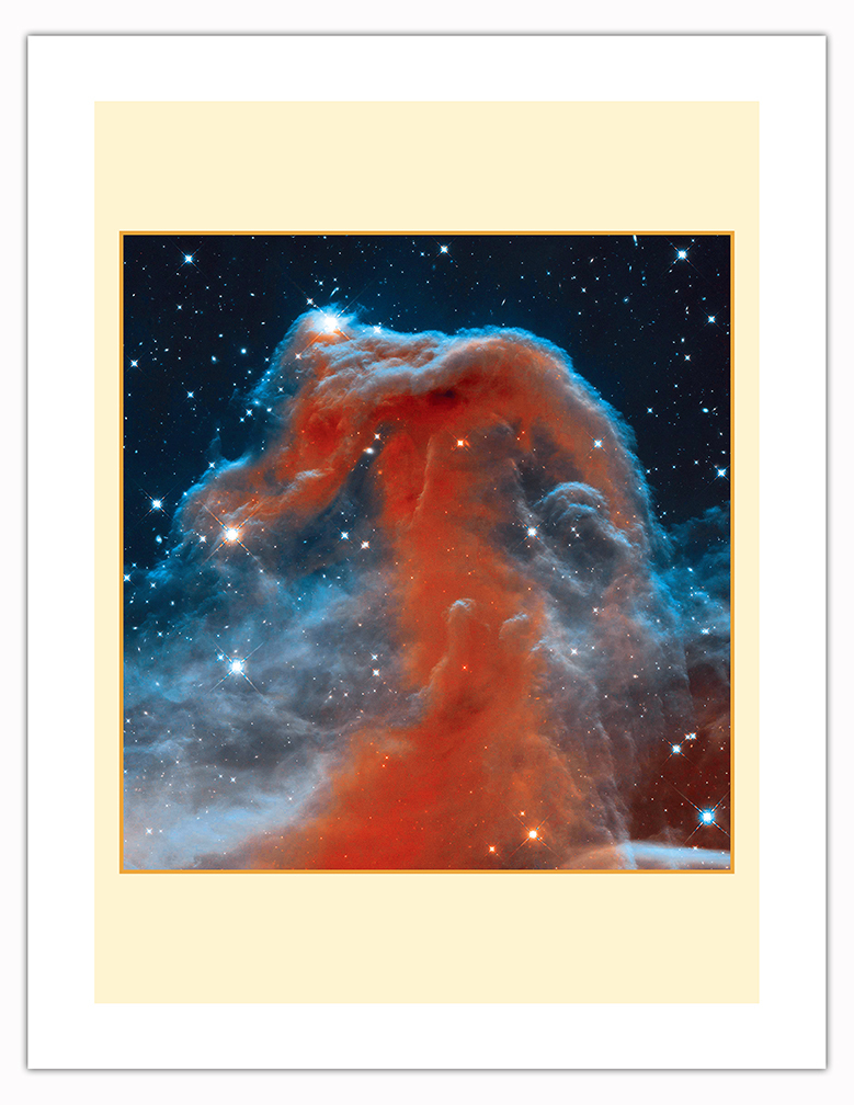 The Horsehead Nebula in Infrared from Hubble Space Telescope - NASA ...