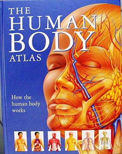Pre-Owned The Human Body Atlas: How the Human Body Works! Edition ...