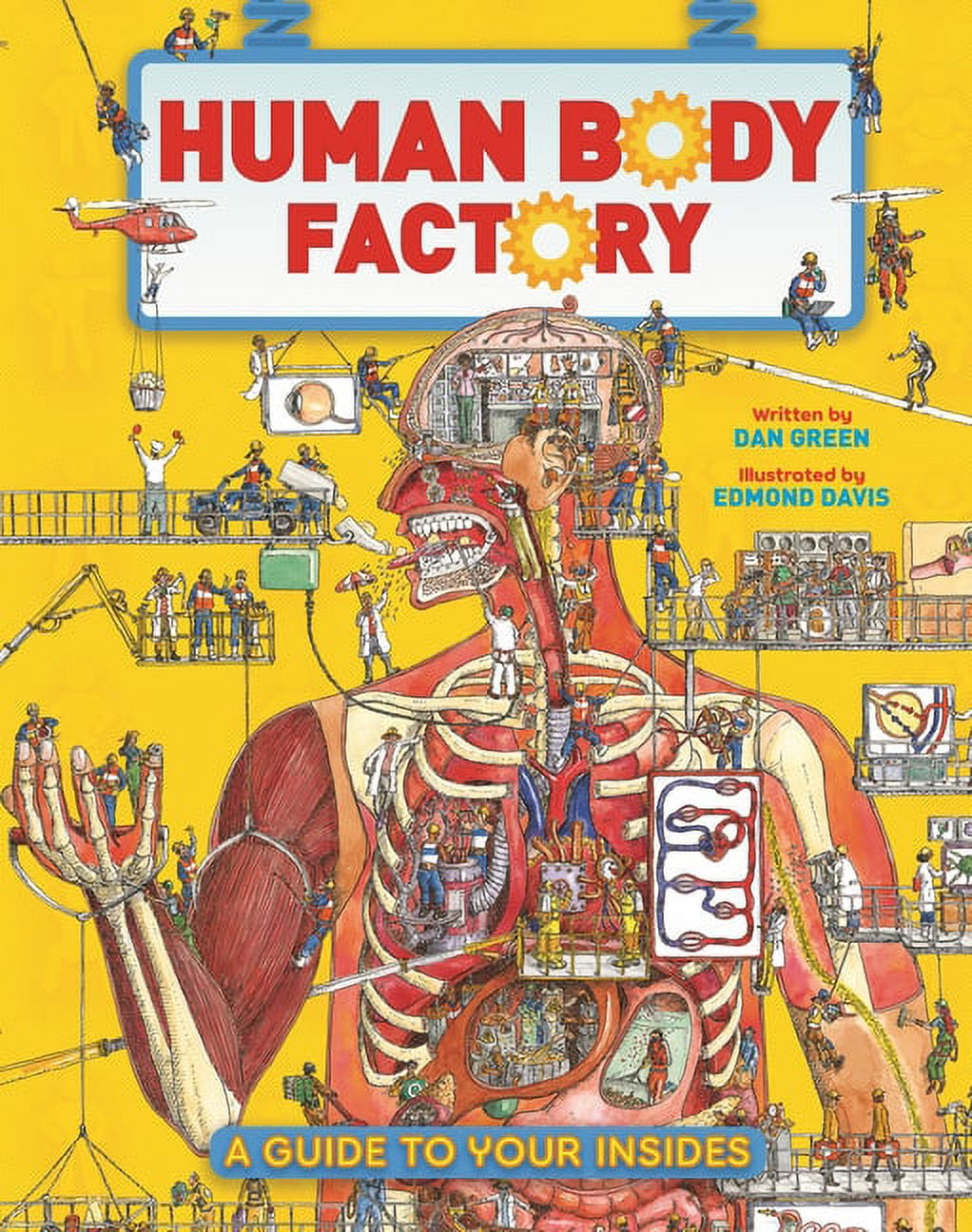 The Human Body Factory: A Guide to Your Insides -- Dan Green - Walmart.com