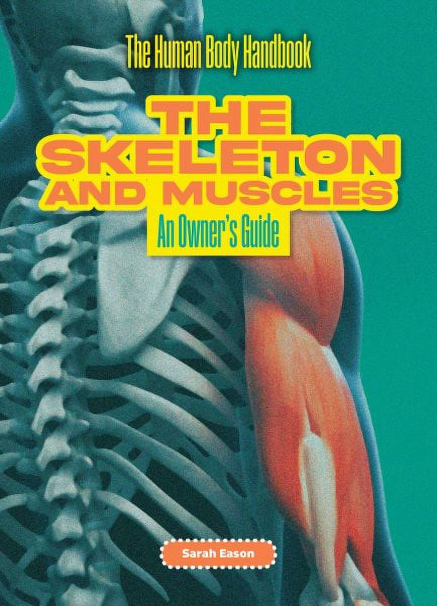 The Human Body Handbook: The Skeleton and Muscles (Hardcover) - Walmart.com