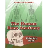 The Human Bone Anatomy Coloring Book (Paperback) - Walmart.com