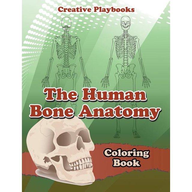 The Human Bone Anatomy Coloring Book (Paperback) - Walmart.com