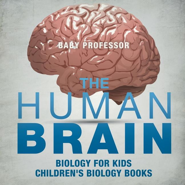 The Human Brain - Biology for Kids Children's Biology Books (Paperback ...