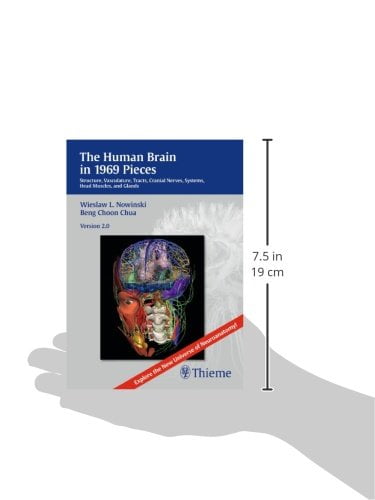 Pre-Owned The Human Brain in 1969 Pieces 2.0 : Structure, Vasculature, Tracts, Cranial Nerves ...