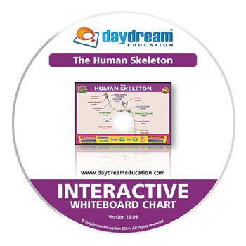 The Human Skeleton Interactive - Walmart.com