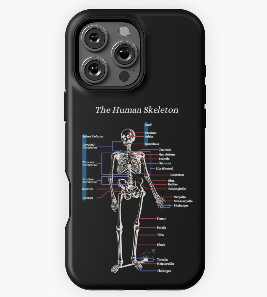 The Human Skeleton anatomy vintage 2 GA5450 Phone Case for iPhone 11 to ...